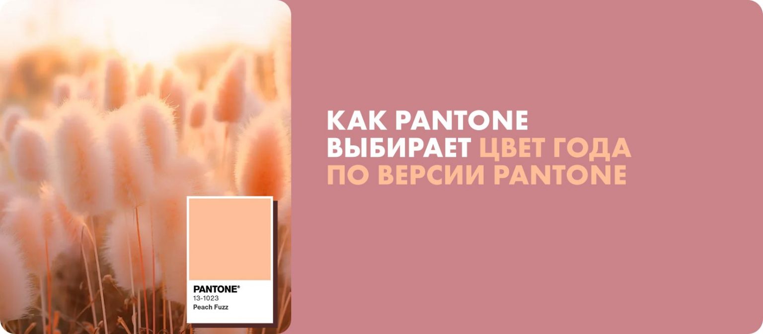 Как Pantone выбирает цвет года по версии Pantone - Designer.kz
